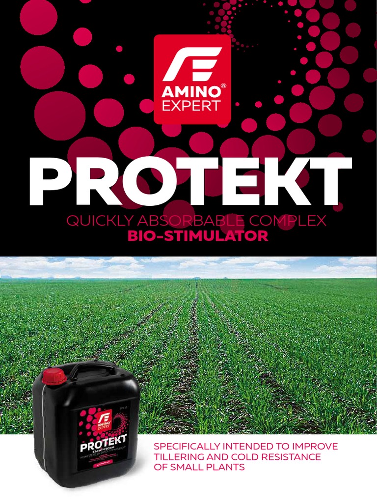 Amino Expert Protekt Diplyana UK Web | PDF | Amino Acid | Molecular Biology