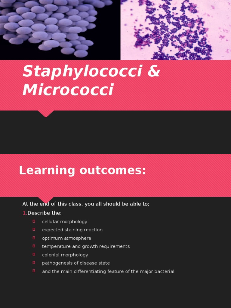 Staphylococci & Micrococci | PDF | Staphylococcus | Staphylococcus Aureus