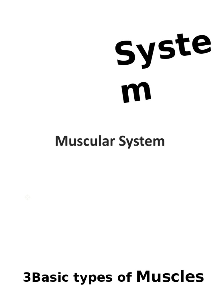 Understanding the Muscular System | PDF | Anatomical Terms Of Motion ...
