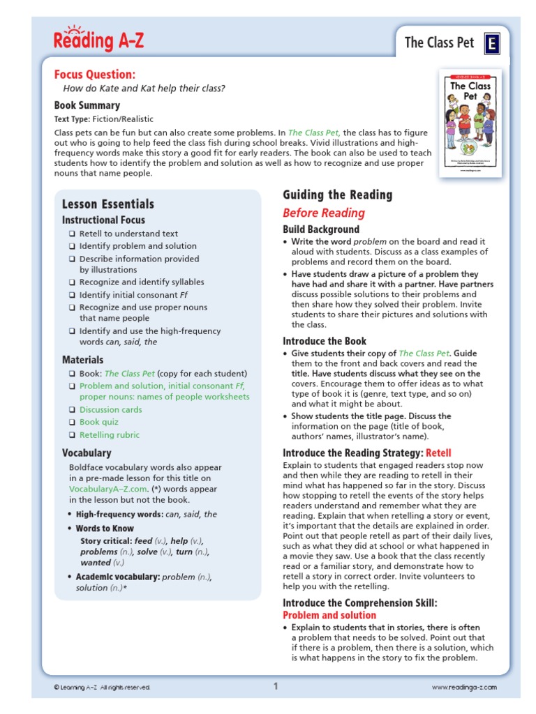 Guiding The Reading Lesson Essentials | PDF | Reading Comprehension | Books