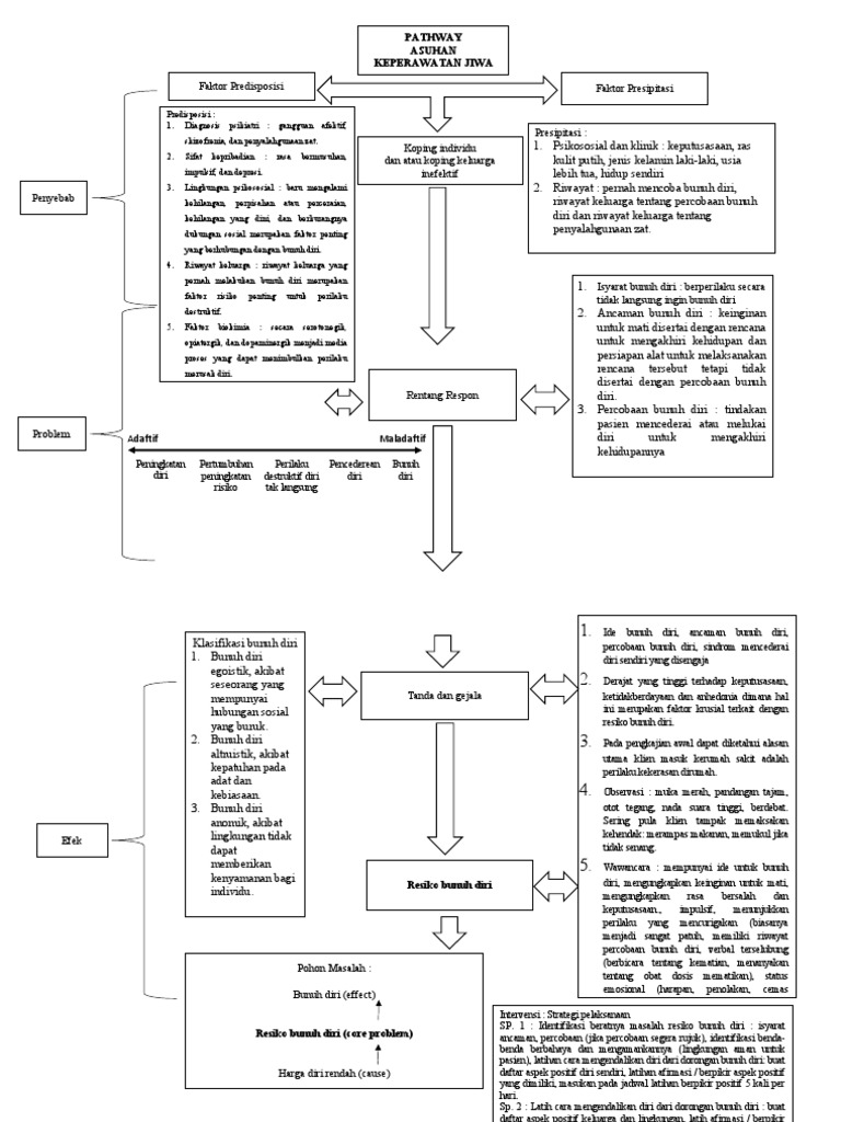 LP Pathway RBD | PDF