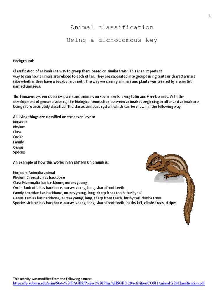 Animal Classification Using A Dichotomous Key: Background | PDF ...