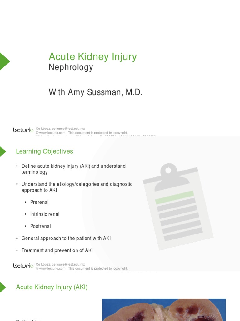 Slides Nephrology Acute Kidney Injury | PDF | Renal Function | Creatinine