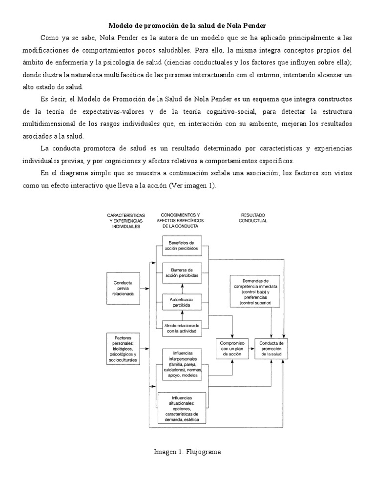 Modelo de Promoción de La Salud de Nola Pender | PDF | Comportamiento ...