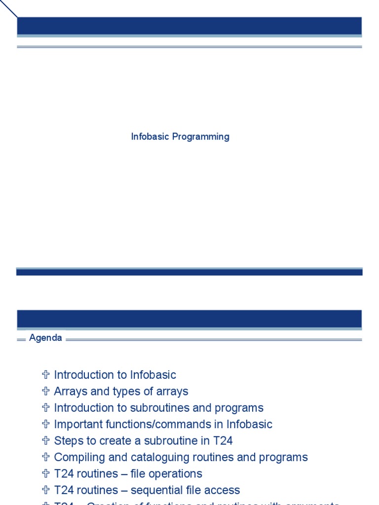 Infobasic Programming | Download Free PDF | Array Data Structure | Subroutine