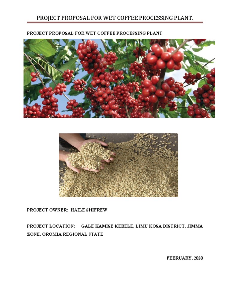 Dry Coffee Processing BP | PDF | Coffee | Marketing