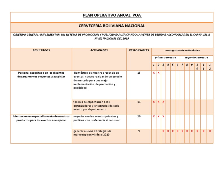 Plan Operativo Anual Poa | PDF