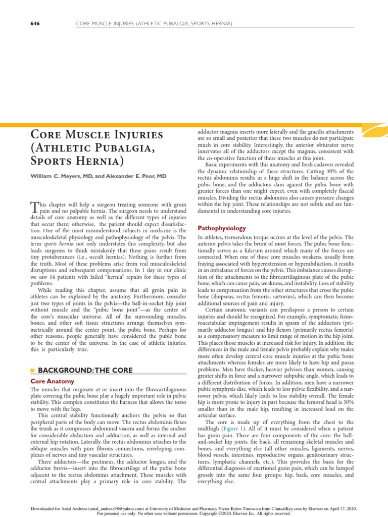 Core Muscle Injuries (Athletic Pubalgia, Sports Hernia ...