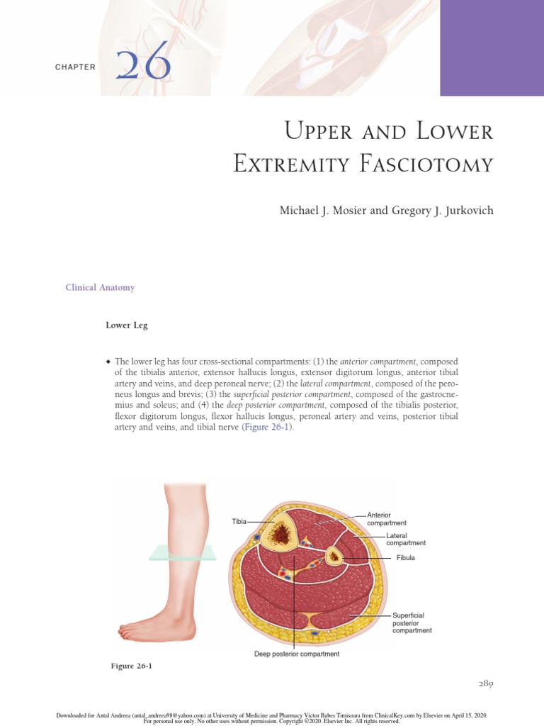 Upper and Lower Extremity Fasciotomy: Michael J. Mosier and Gregory J ...