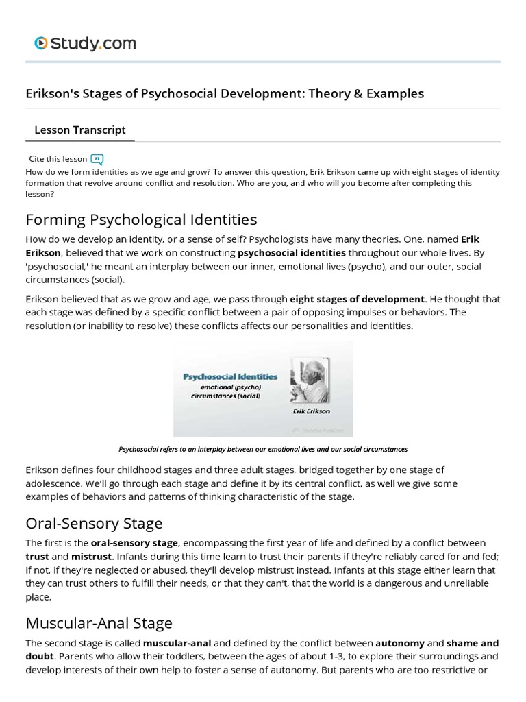 Erikson's Stages of Psychosocial Development - Theory & Examples ...