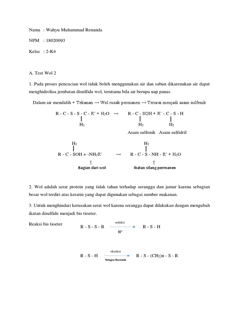 Identifikasi Kerusakan Serat Wol | PDF