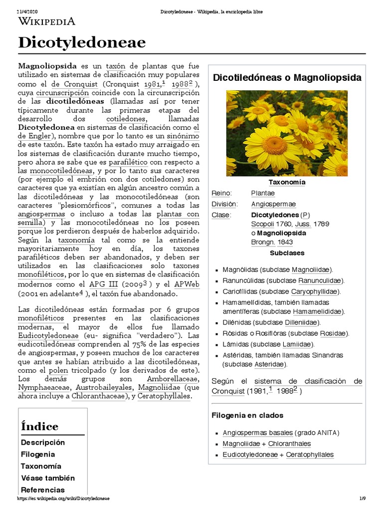Dicotyledoneae | PDF | Plantas | Organismos