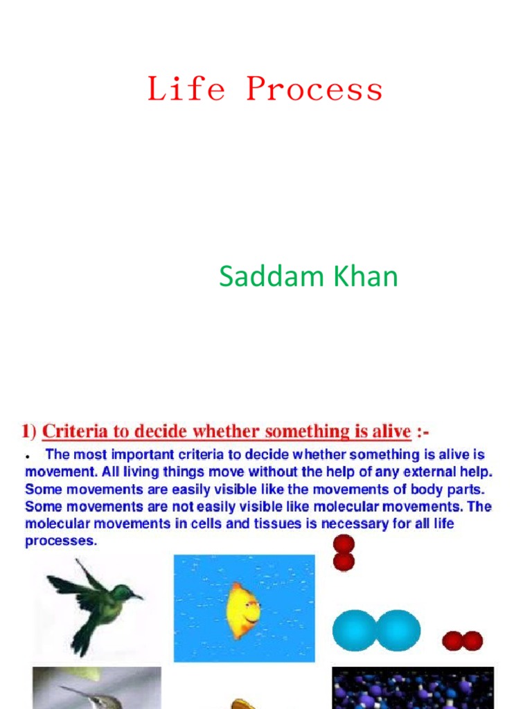 Life Process 10 Class | PDF