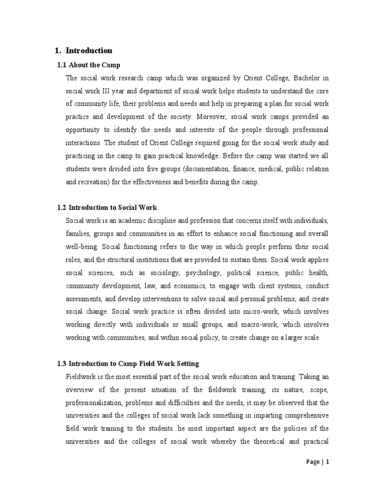 Updated Camp Report | PDF | Social Work | Science