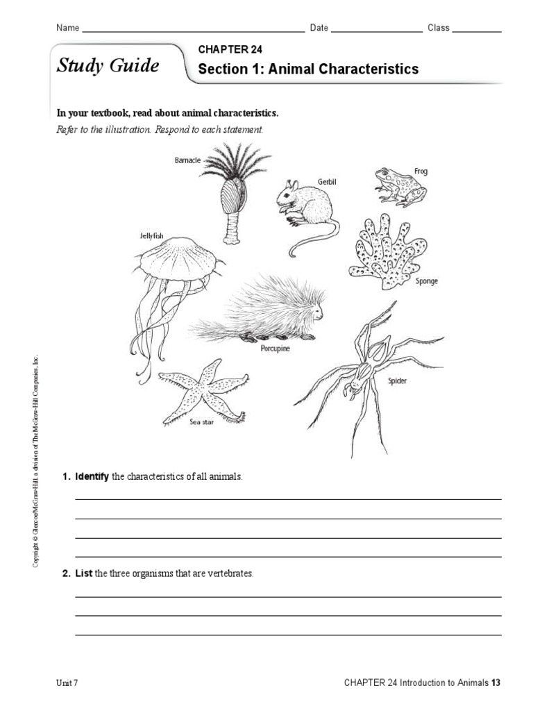 Animal Characteristics and Reproduction Guide | PDF | Sexual ...