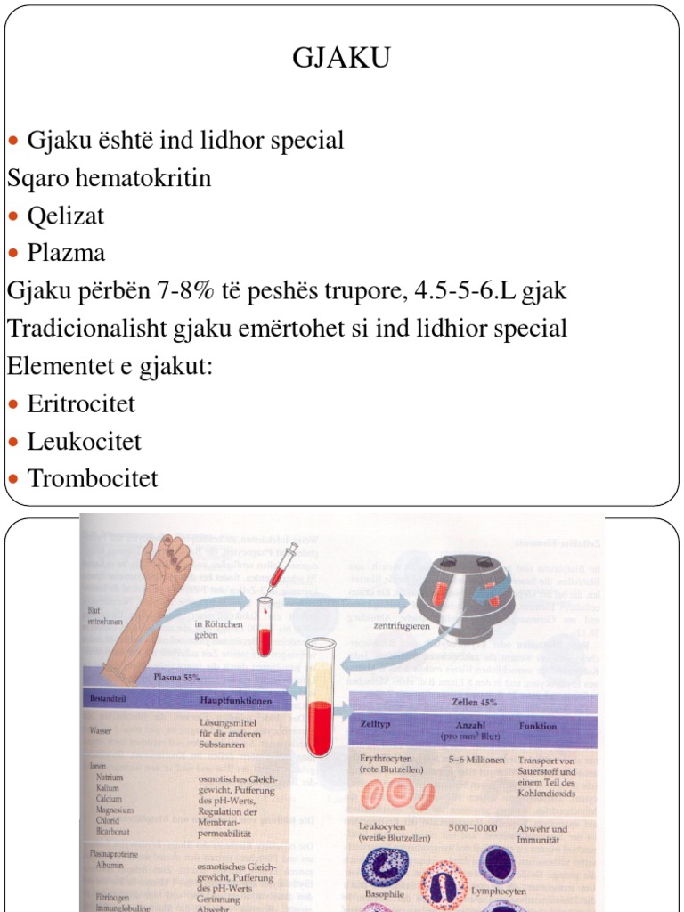Gjaku PDF | PDF