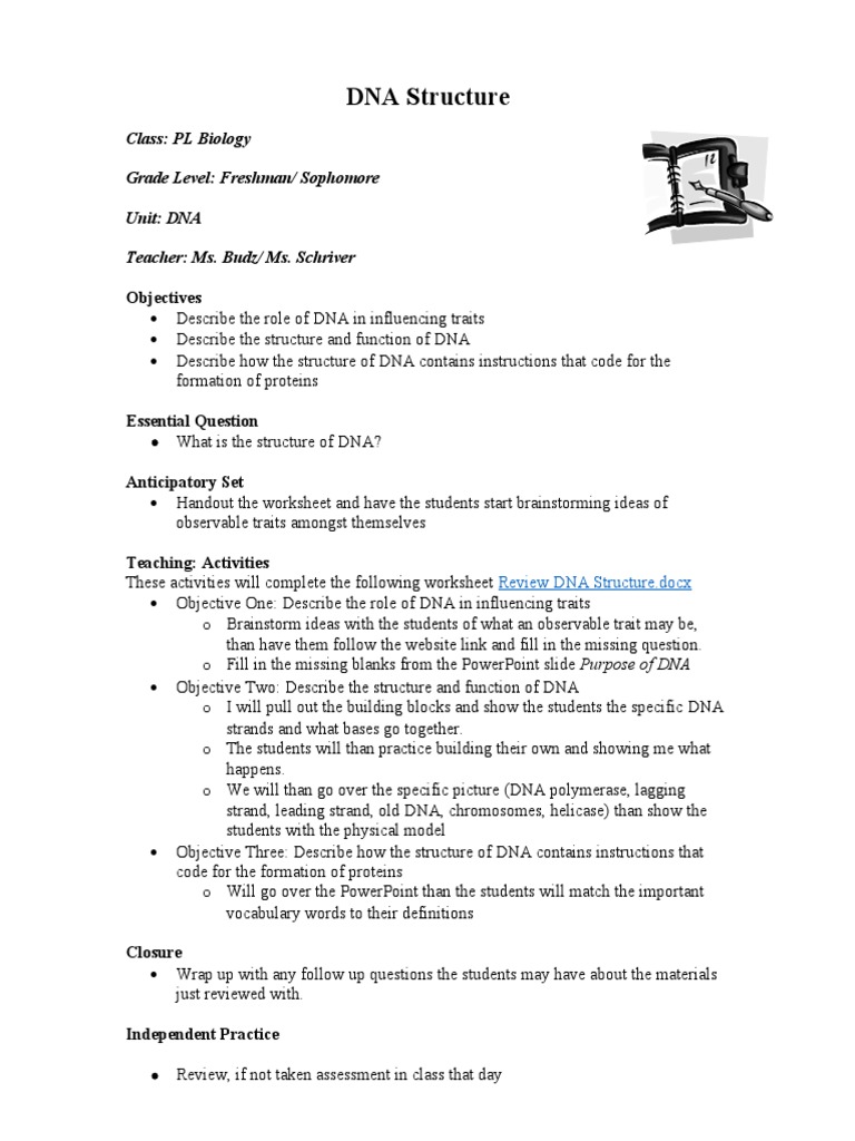 Understanding DNA Structure and Function | PDF | Career & Growth | Art