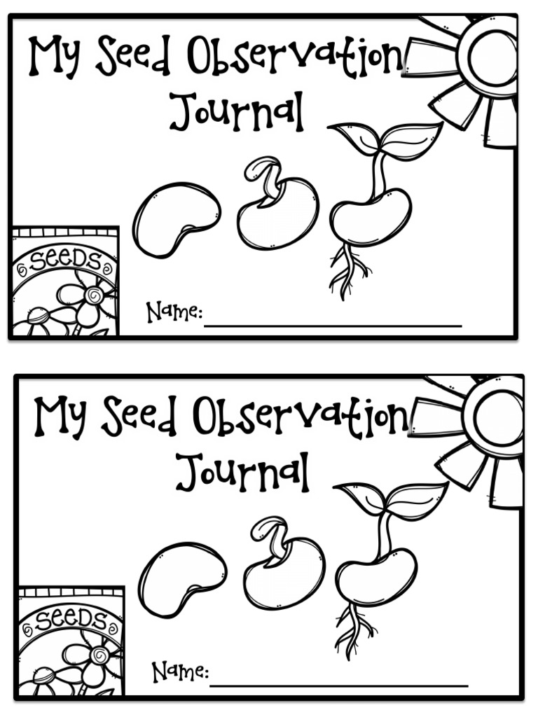 My Seed Observation Journal | PDF