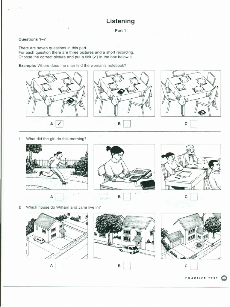 Pet Listening Practice Test 5 | PDF