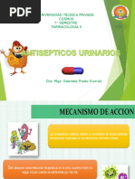 Prospecto NIFURYL | PDF | Infección del tracto urinario ...