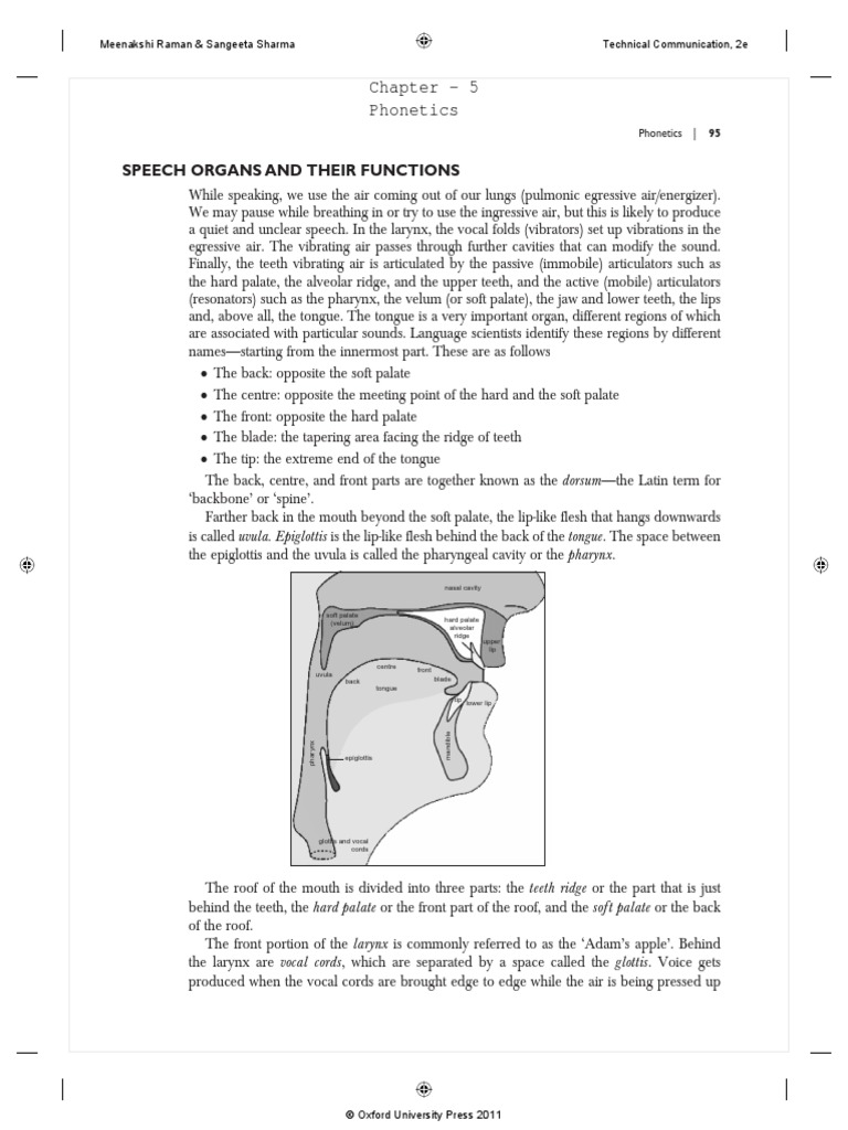 Speech Organs and Their Functions: Chapter - 5 Phonetics | PDF ...