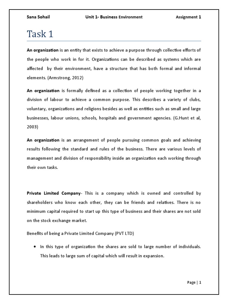 Task 1: Environment Assignment | PDF | Limited Company | Non ...