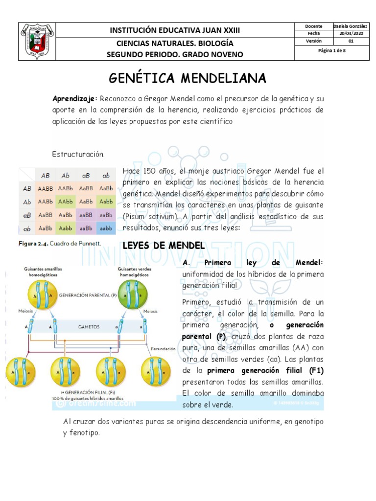 Genética Mendeliana | PDF | Dominancia (Genética) | Biología