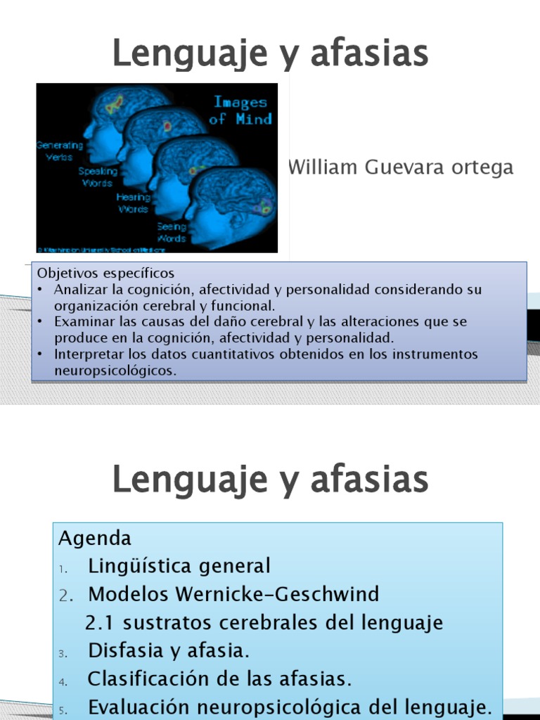 Lenguaje y Afasias | PDF | Afasia | Sistema nervioso central