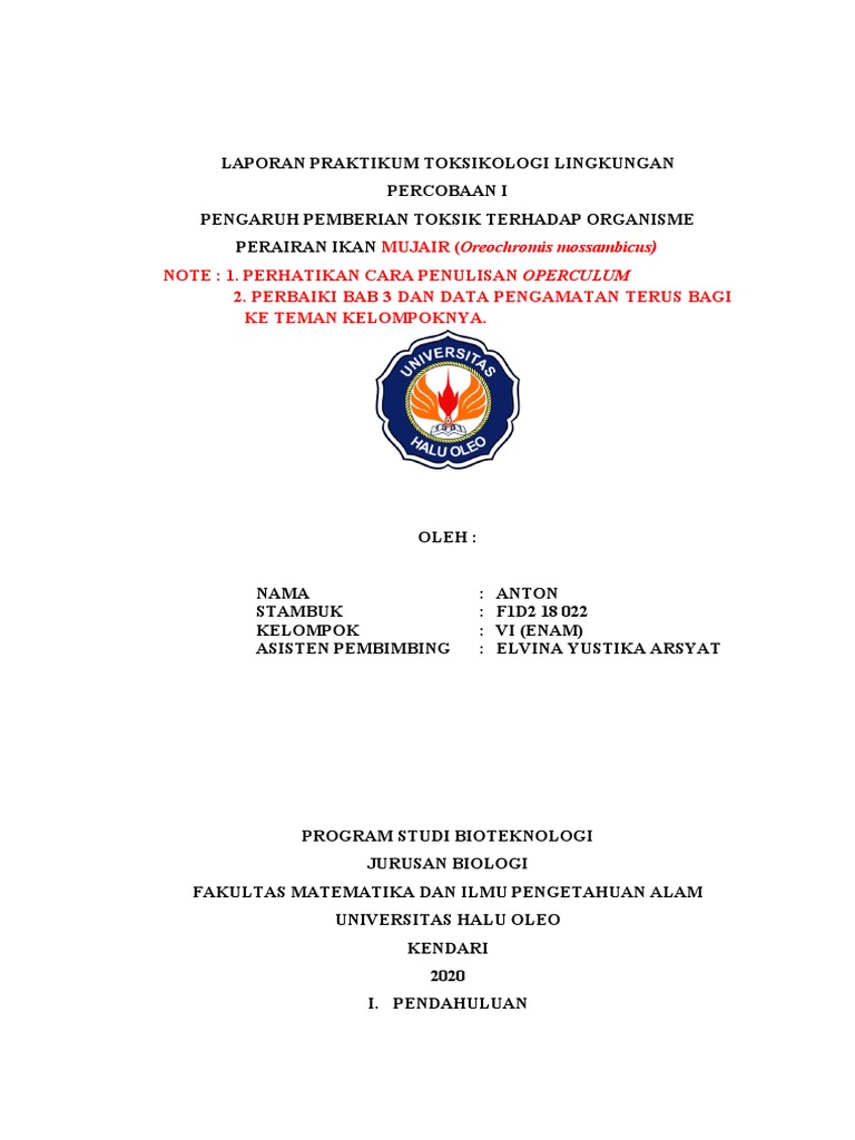 Laporan Anton-F1d2 18 022 | PDF