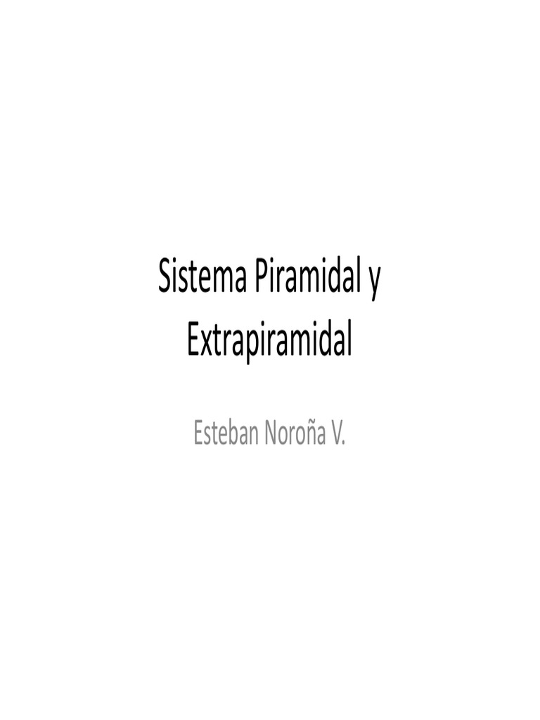 Sistema Piramidal y Extrapiramidal | PDF | Sistema nervioso | Neuroanatomía