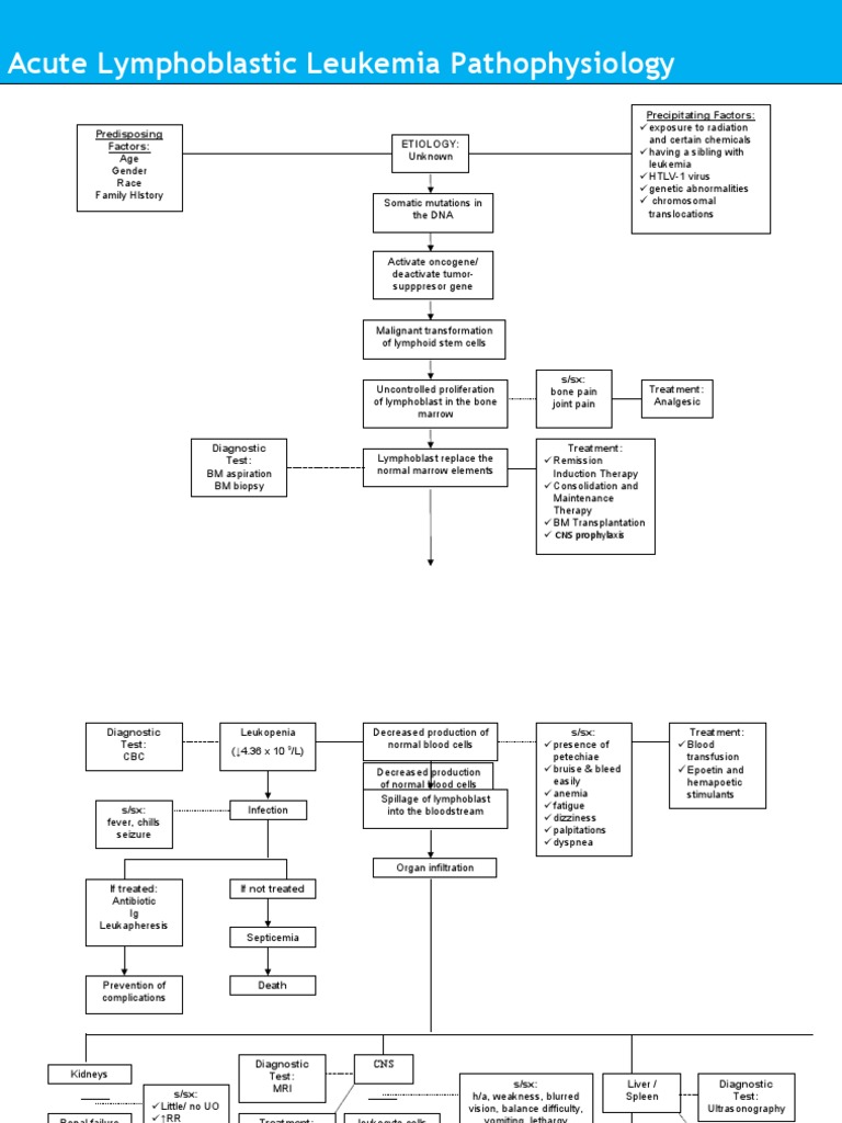 CASE5Acute Lymphoblastic Leukemia Pathophysiology Diagram | PDF ...