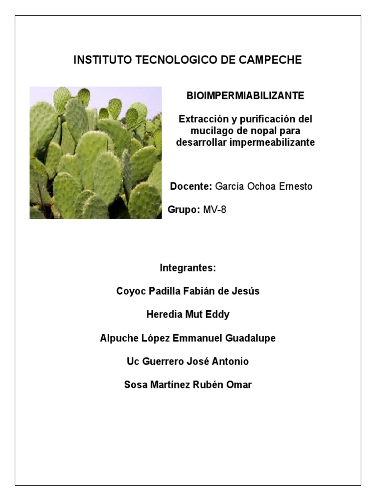Mucilago de Nopal Proyecto | PDF | Carbohidratos | Ácido