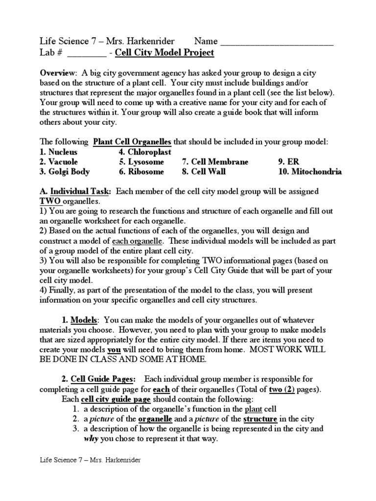 Cell City Project | PDF | Organelle | Lysosome