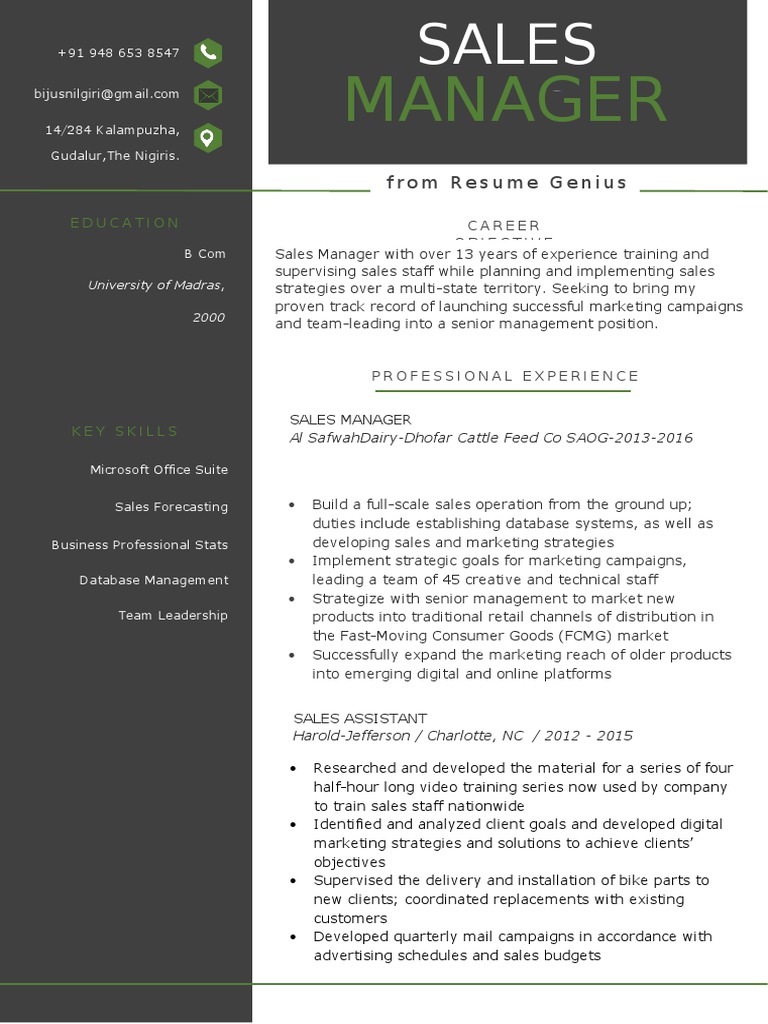 Sales Manager Resume Sample - Everest Green | PDF | Sales | Marketing ...
