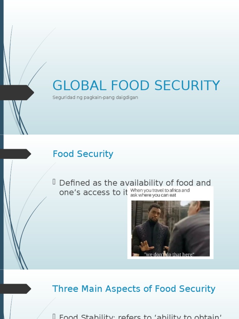 Global Food Security Overview | PDF
