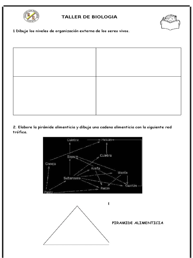 Cadenas y Redes Alimenticias | PDF | Red alimentaria | Ecología