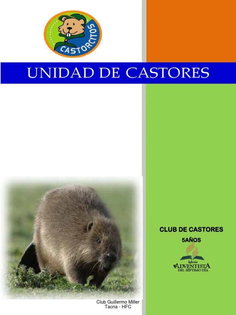 Cuadernillo de Castores 5 Años-1 PDF | PDF
