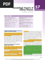 Indeks Mentzer | PDF | Anemia | Blood