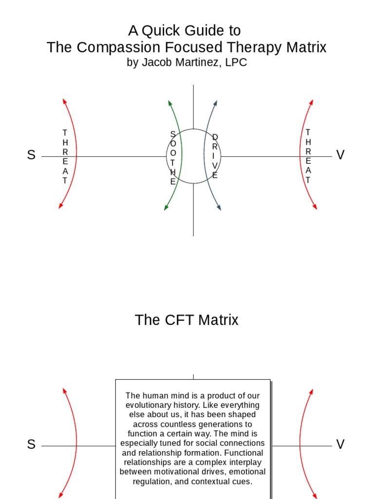 CFT Matrix Quick Guide | PDF | Clinical Psychology | Neuroscience