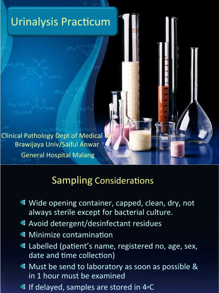Urinalysis Practicum Guidelines | PDF | Urine | Buffer Solution