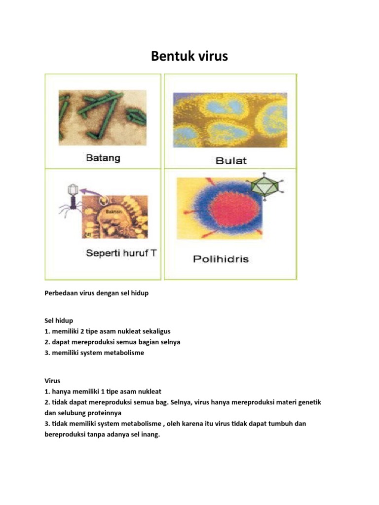Bentuk Virus | PDF