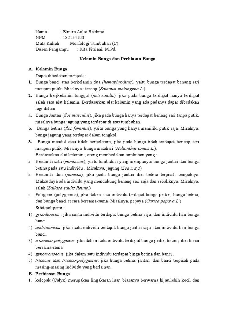 Morfologi Tumbuhan Elmira | PDF