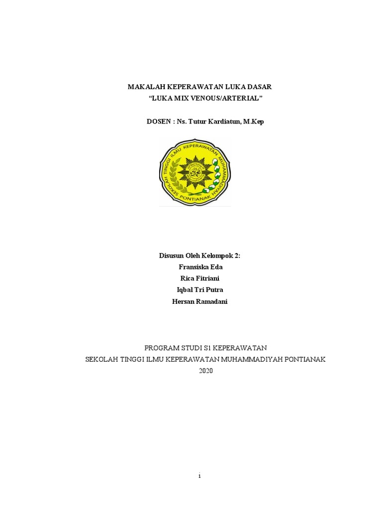 Luka Mix Venous Arterial | PDF