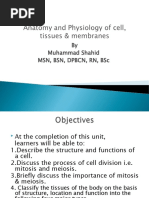 Histology Worksheets All in One | PDF | Stomach | Bone
