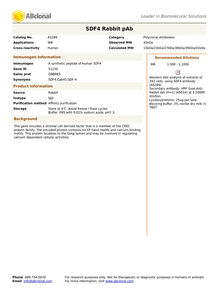 Sdf4 Rabbit Pab: Immunogen Information | PDF