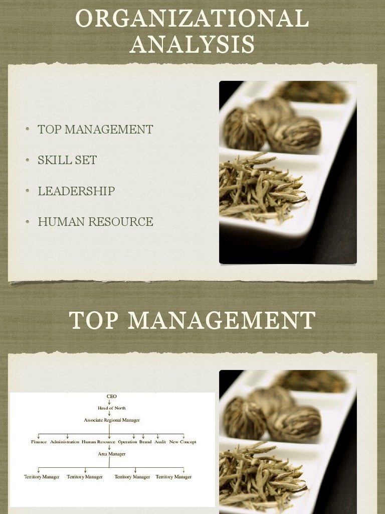 Top Management Skill Set Leadership Human Resource | PDF