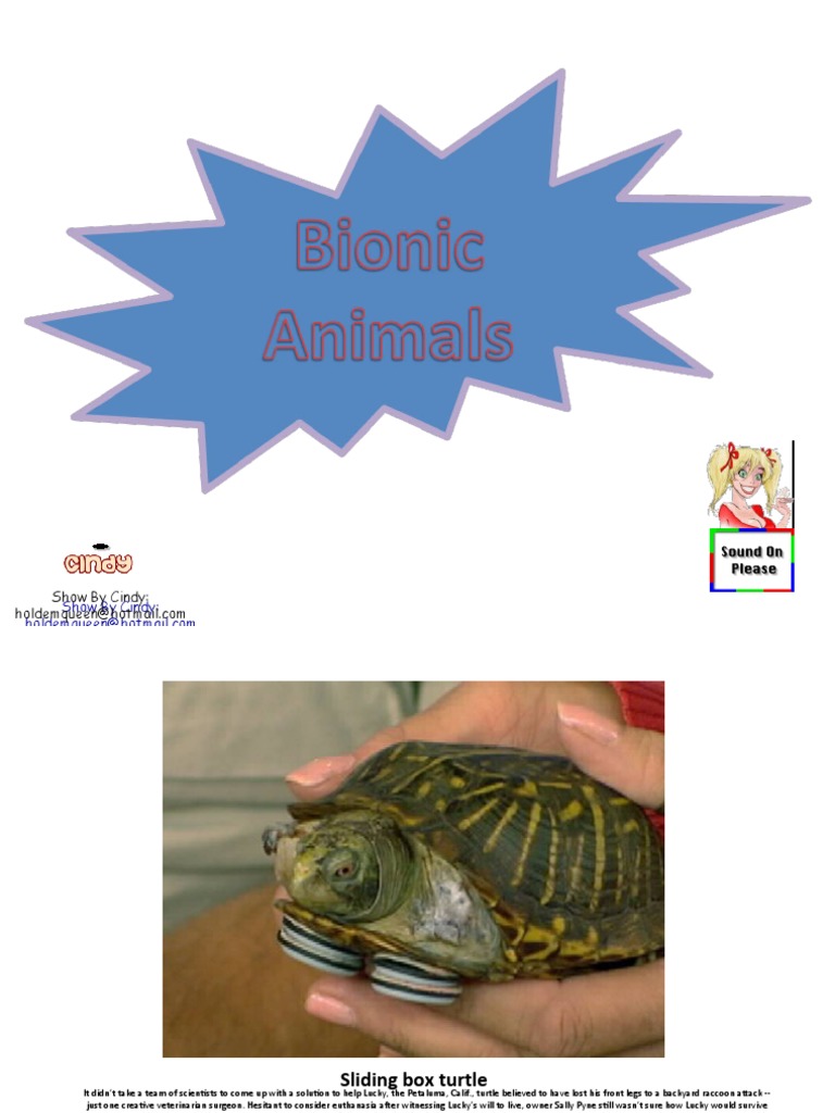 Bionic Animals | PDF | Prosthesis | Nature