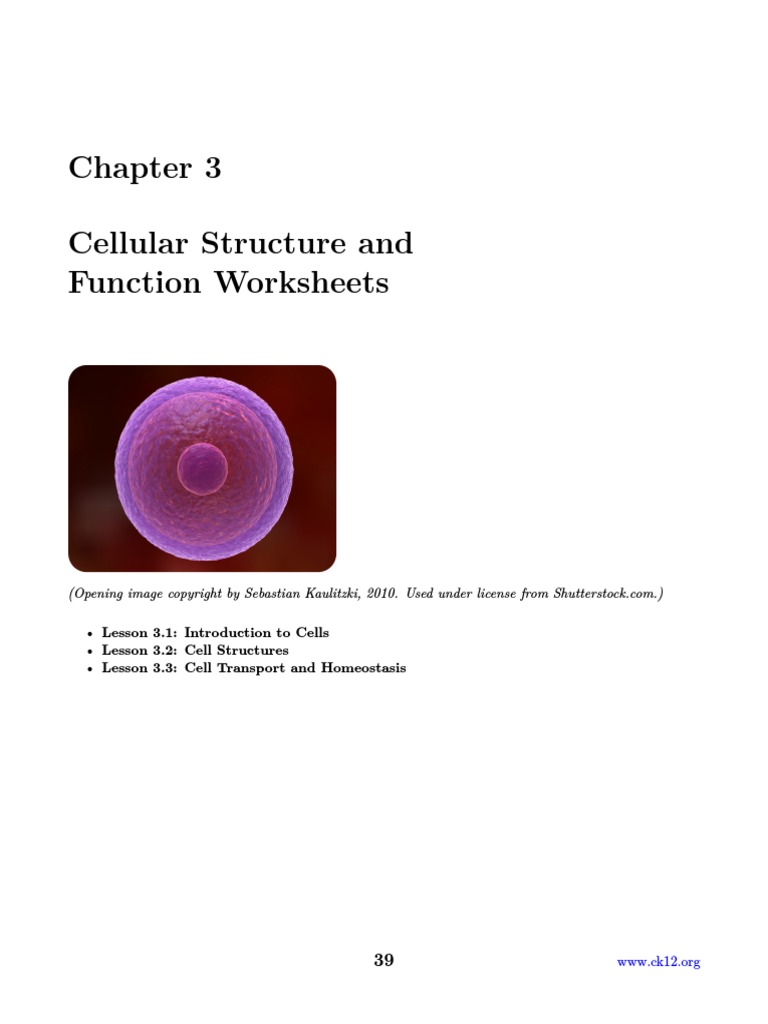 Cellular Structure and Function Worksheets | Download Free PDF | Cell ...