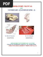 Triadan Tooth Numbering System | PDF