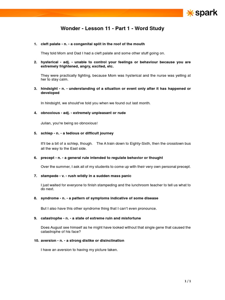 Wonder (Novel) Vocabulary | PDF